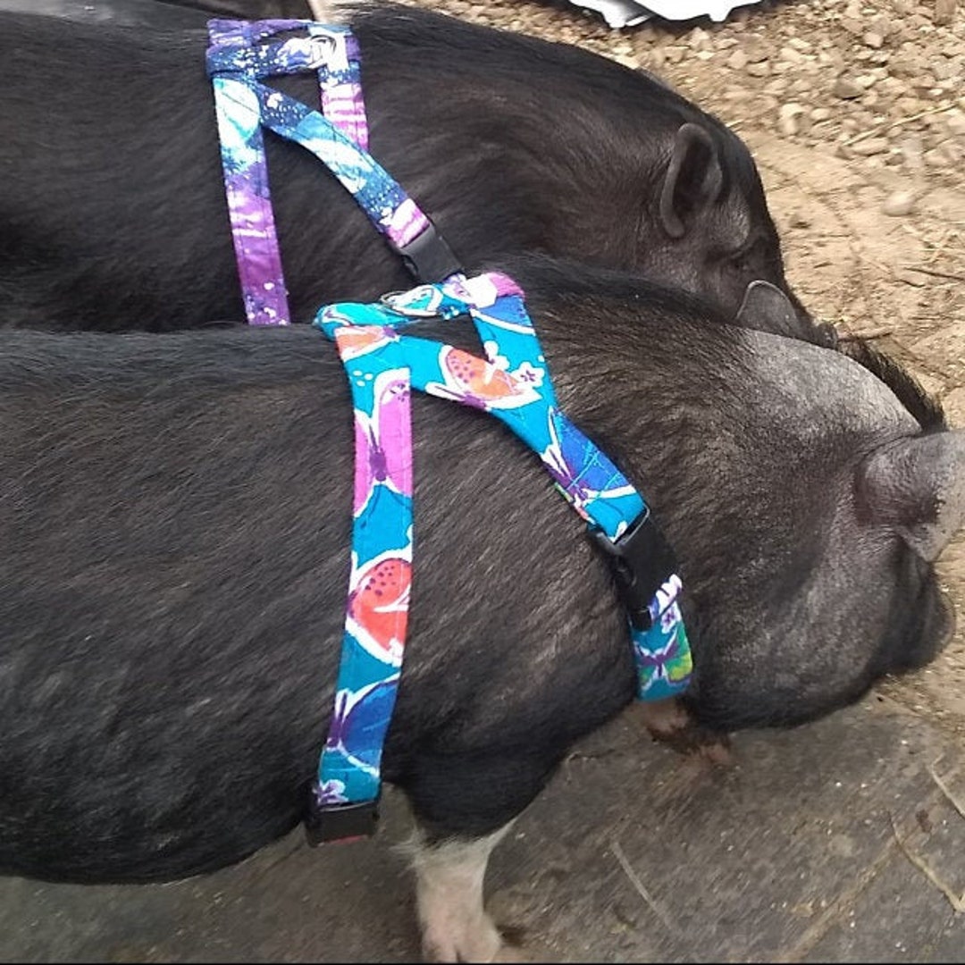 Flannel Mini Pig Harness - You Choose Fabric - Etsy