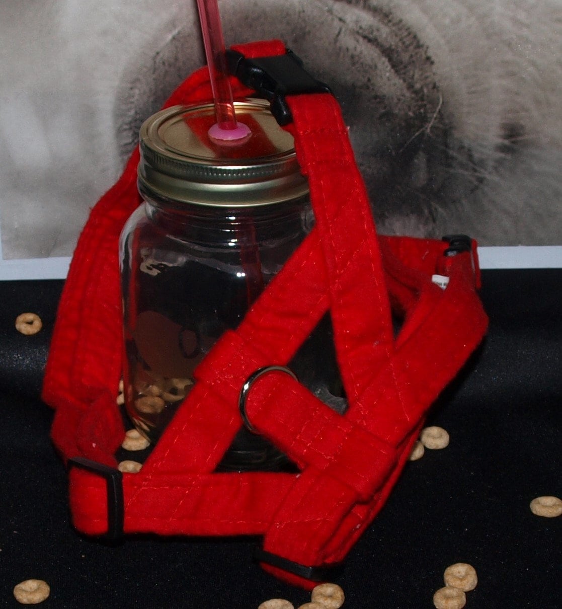 Adjustable Mini Pig Harness - Red TD - Etsy