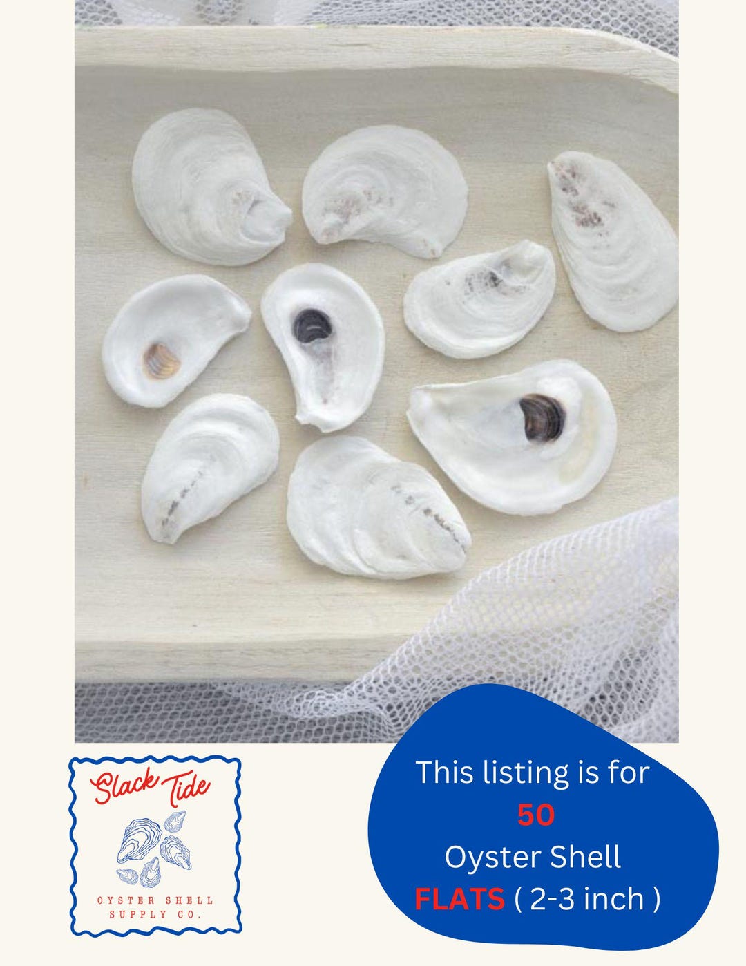 50 LARGE FLATS | Natural Oyster Shells Cleaned and Ready to Craft! - Etsy