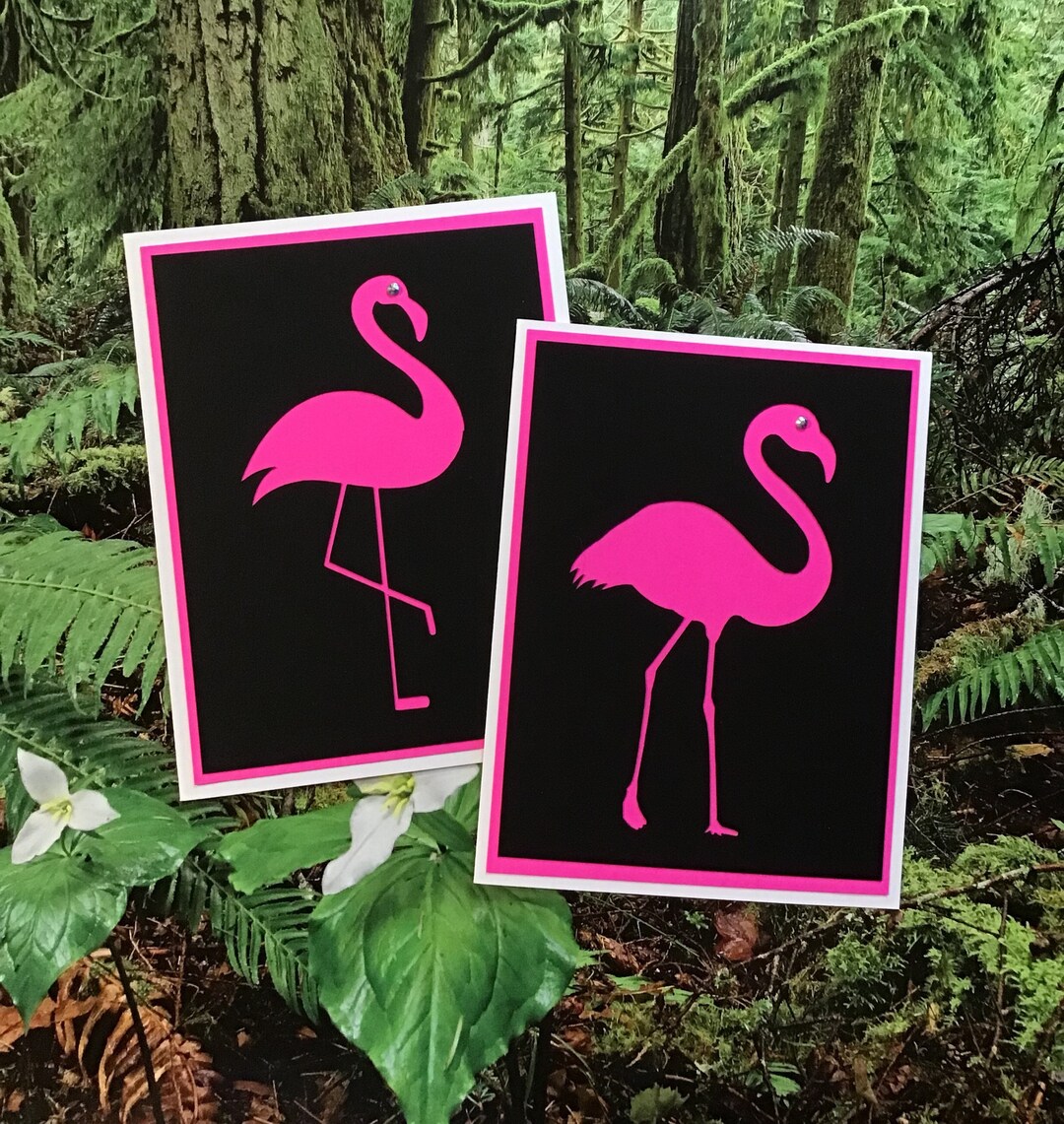 Sassy Flamingo Card Set With Envelopes, Pink Flamingoes, Mother's Day ...