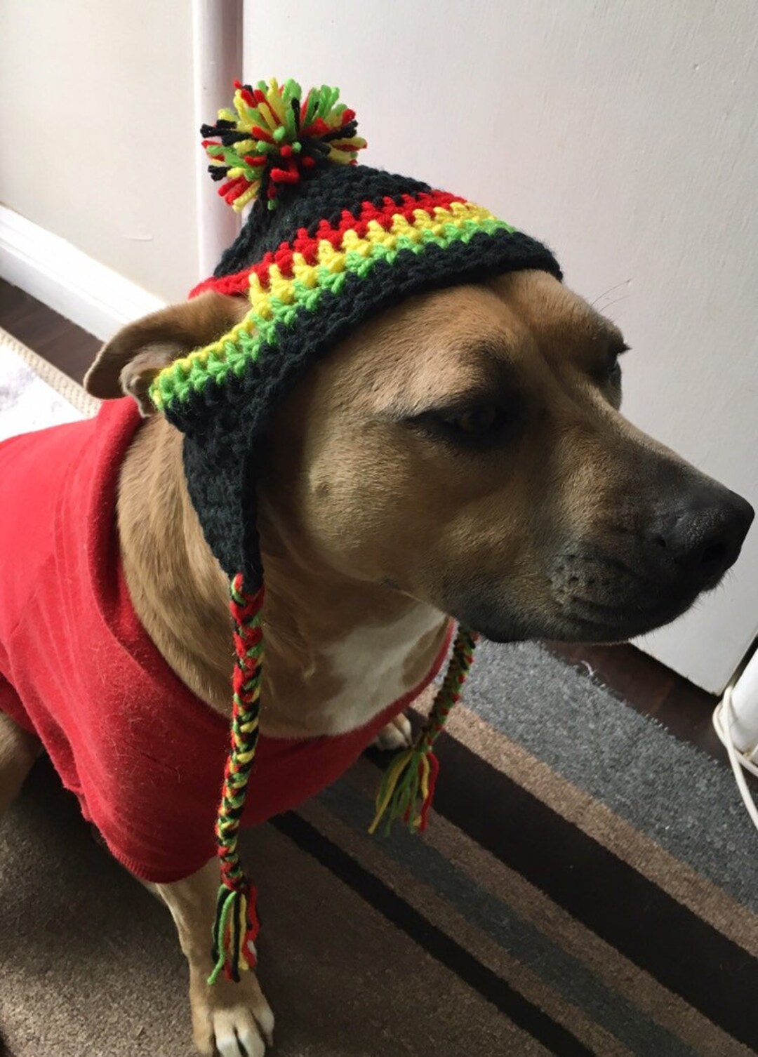 Crochet Rasta Striped Dog Hat With Pom Pom. Warm Dog Hat, Fur Baby Gift ...