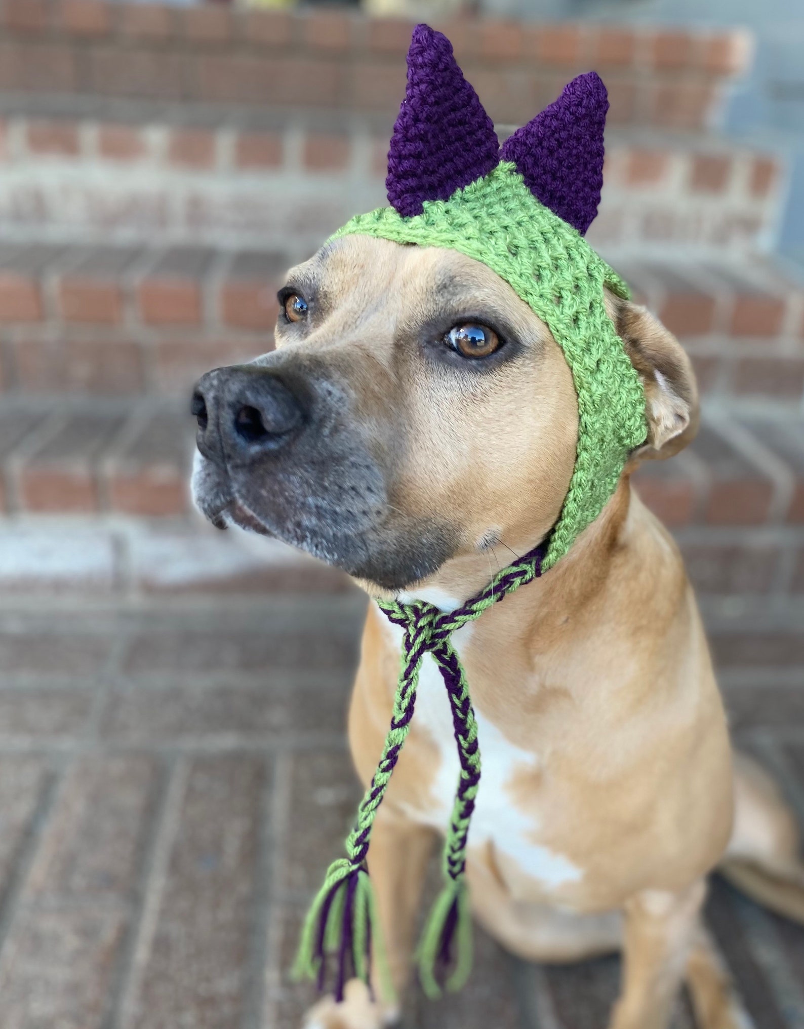 Crochet Dinosaur Dog Hat With Spikes Earflaps and Braids. - Etsy