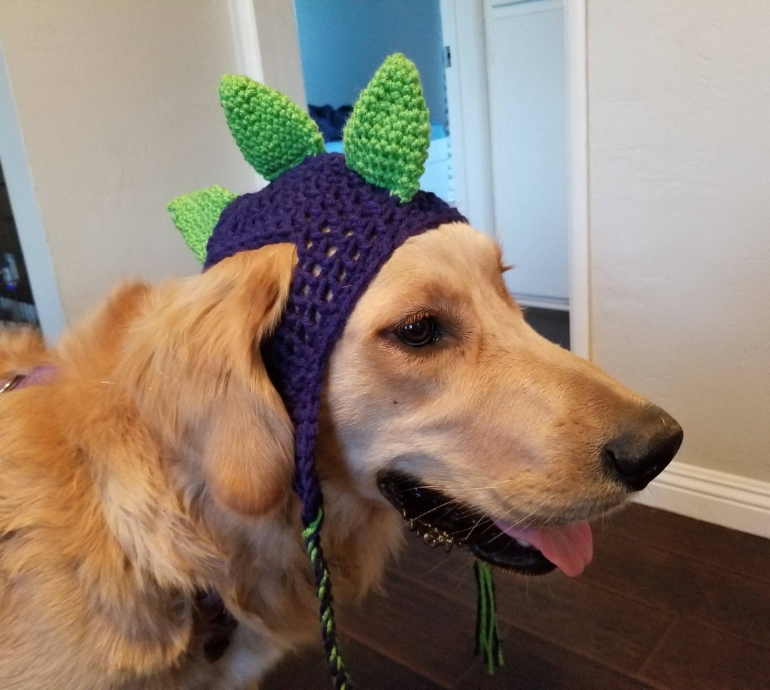 Crochet Dinosaur Dog Hat With Spikes, Earflaps and Braids. Warm Dog Hat ...