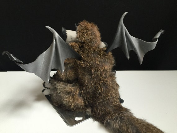 Flying Lemur Bat