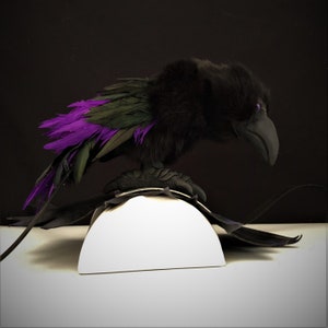 RAVEN Puppet Bird Sculpture Malef Cosplay Odin's Ravens - Etsy