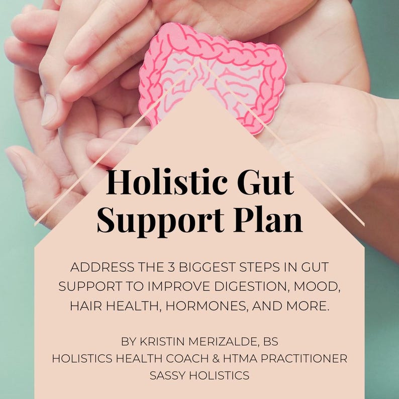 Holistic Gut Health Support Plan - Etsy