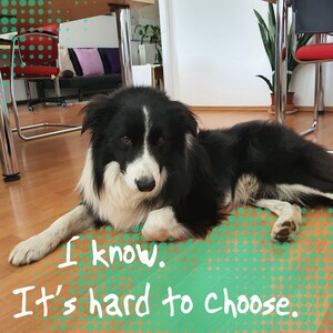 Grinch Ski Helmet Cover, Snowboard Helmet Cover, Bike Cycling Helmet ...