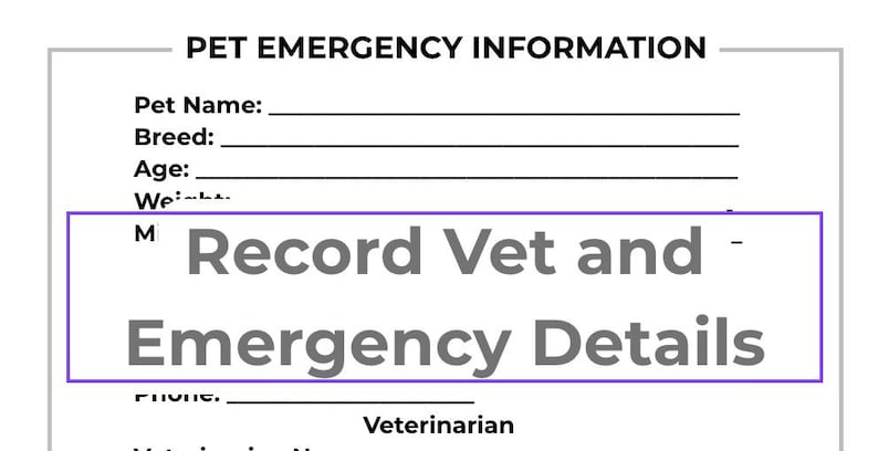 Pet Emergency Information Printable | Vet Contacts, Medical Record (PDF ...