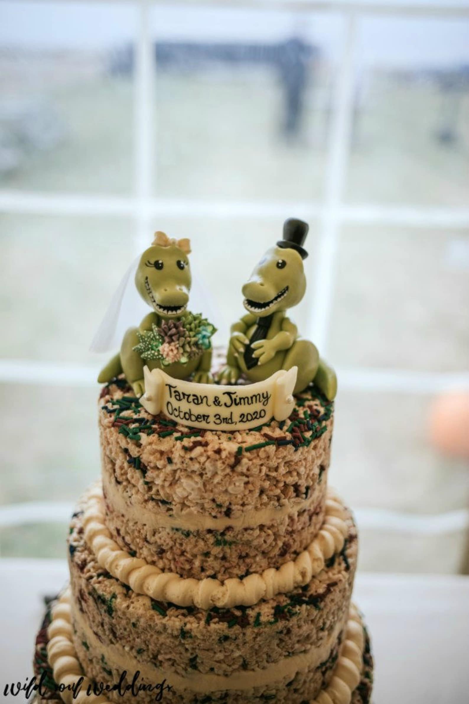 T-rex Wedding Cake Topper Dinosaur Animal Unique Bride and | Etsy