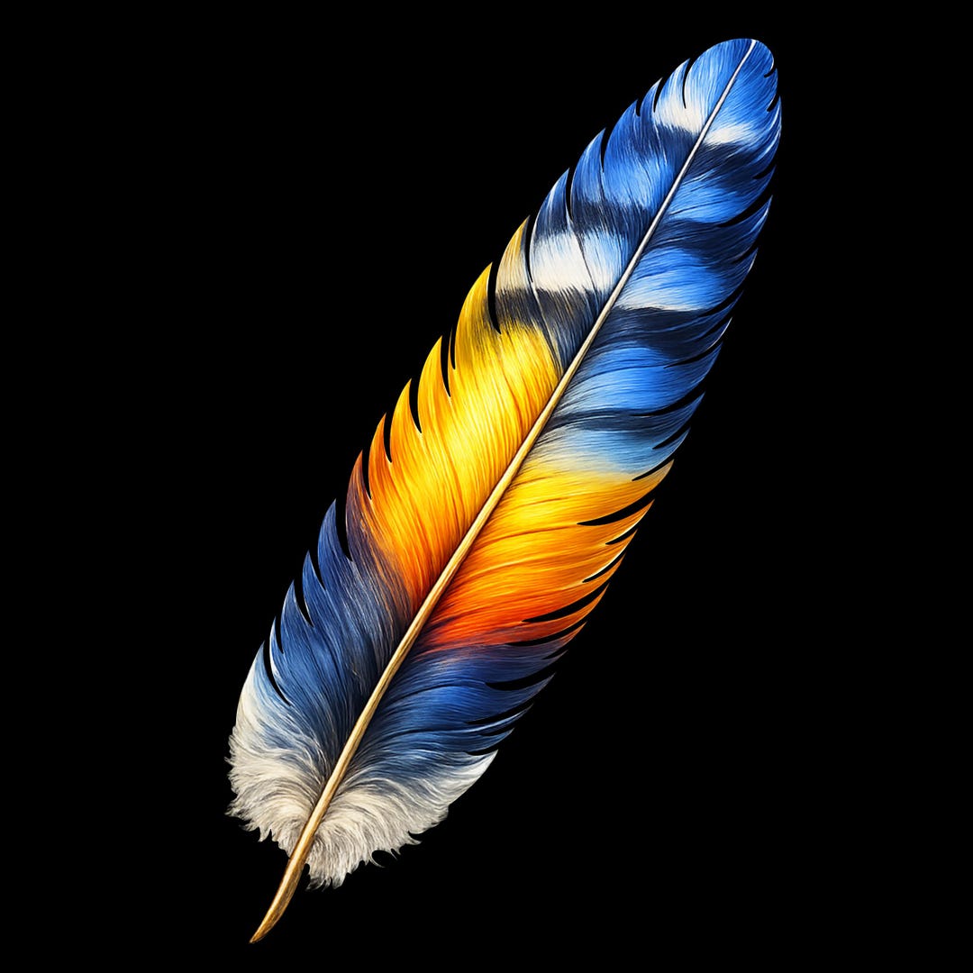 Blue Jay PNG/ No Background - Etsy