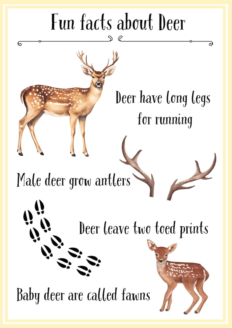 Printable Woodland Animals Fun Facts for Kids, Preschool Nature ...