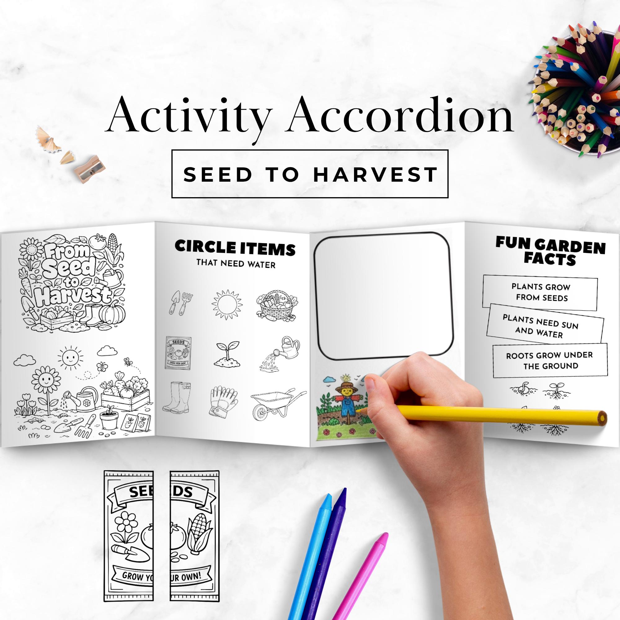 Garden Accordion Activity | Printable Kids Activity Pack | Farm to ...