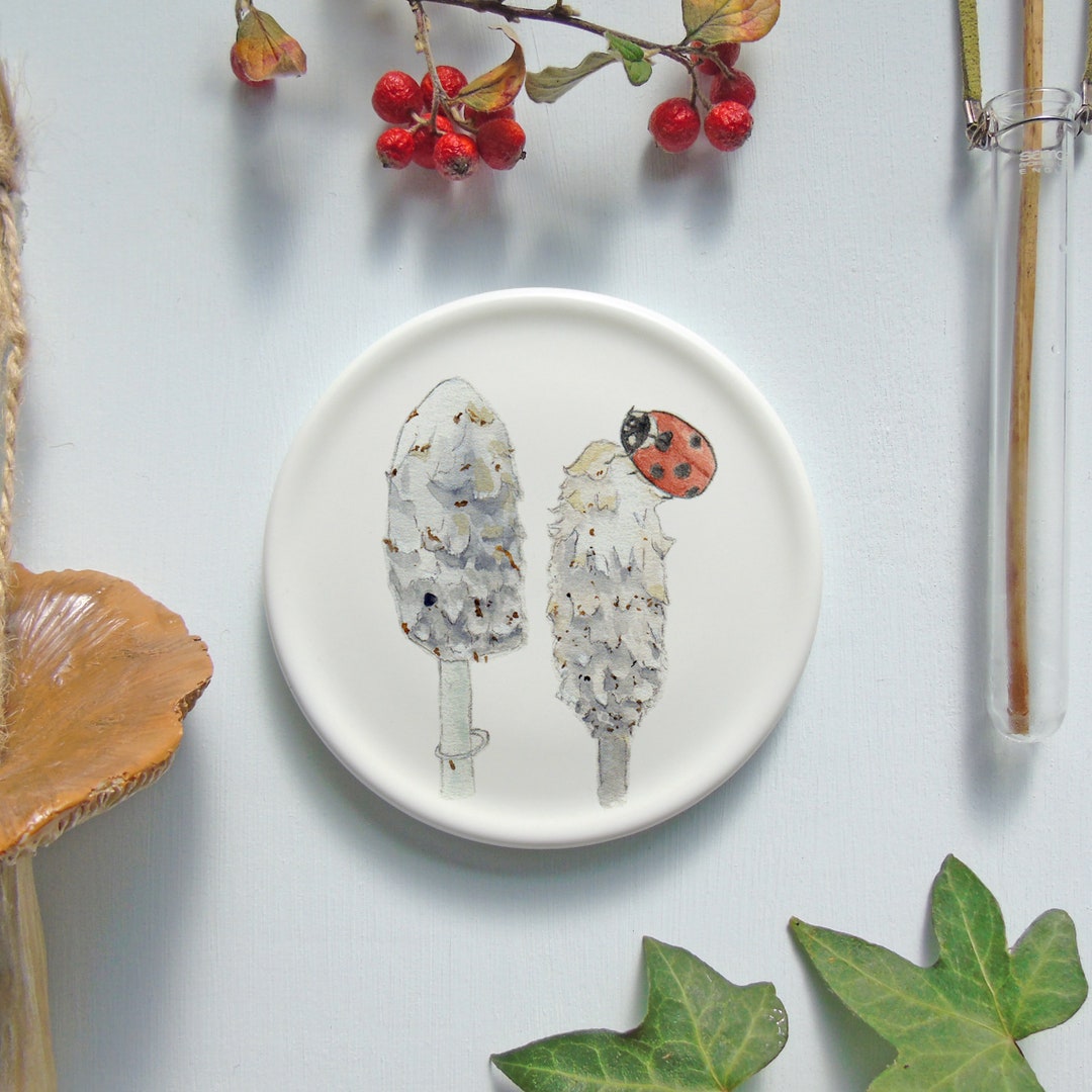 Toadstool Mini Wall Plate - Mushroom Homeware Gift - Nature Wall Art ...