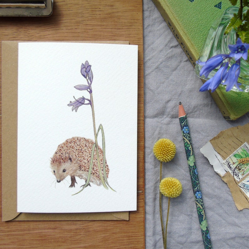 Hedgehog Greetings Card - Bluebell Card - Any Occasion Card - Hedgehog ...