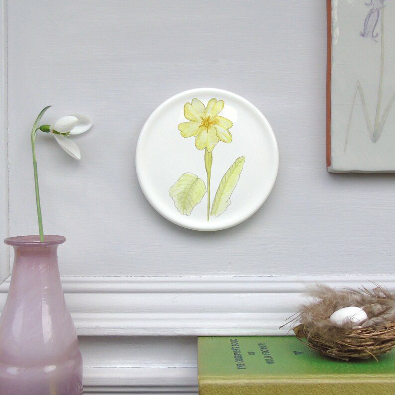 Spring Wildlife Mini Wall Plates-bird Homeware Gift-nature Wall Art ...