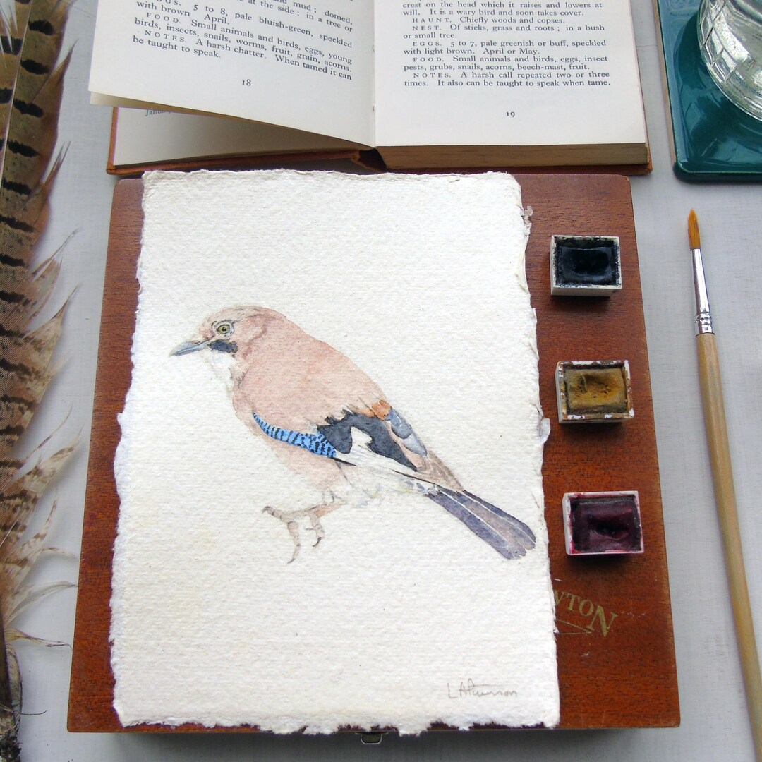Original Watercolour Jay Painting - Original Unframed Woodland Bird ...