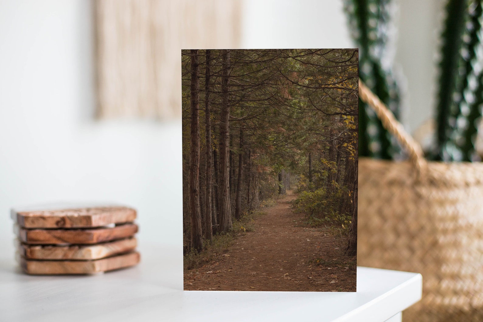 Forest Path Greeting Card - Woodland Stationary - Blank Inside - Any ...
