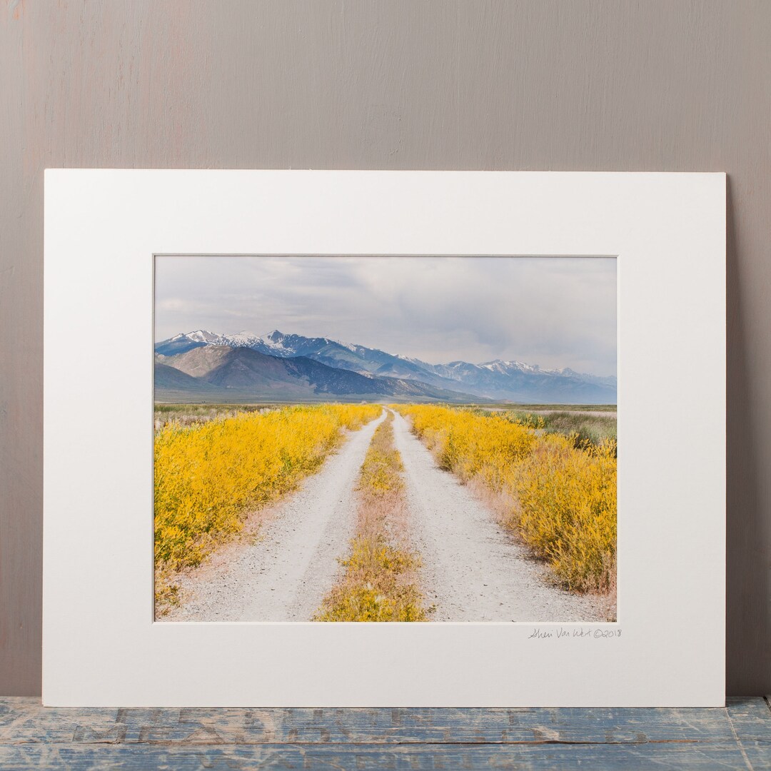 Yellow Wildflower Road 8x10 Matted Photo, Nevada Landscape Photography ...