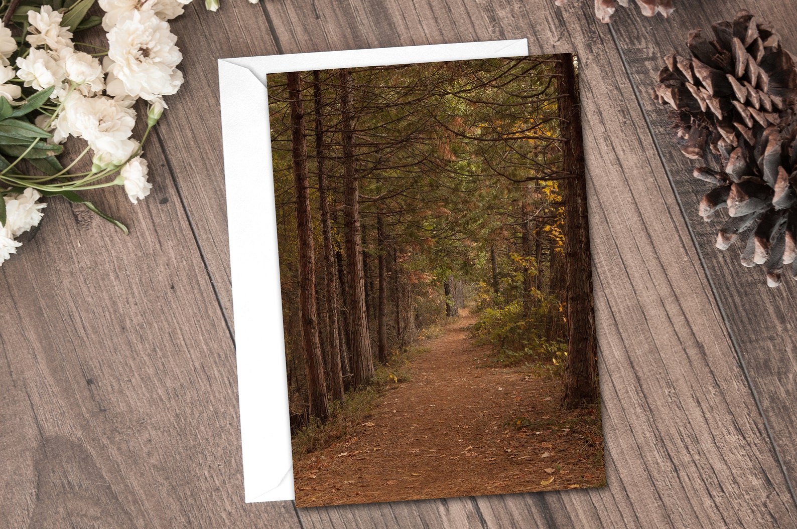 Forest Path Greeting Card - Woodland Stationary - Blank Inside - Any ...