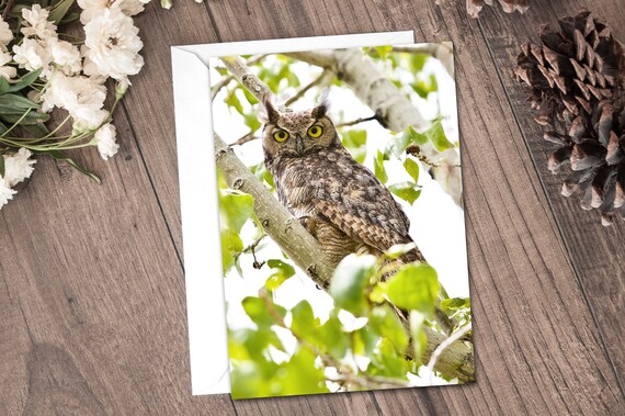 Greeting Cards Great Horned Owl Owl Stationary Blank | Etsy