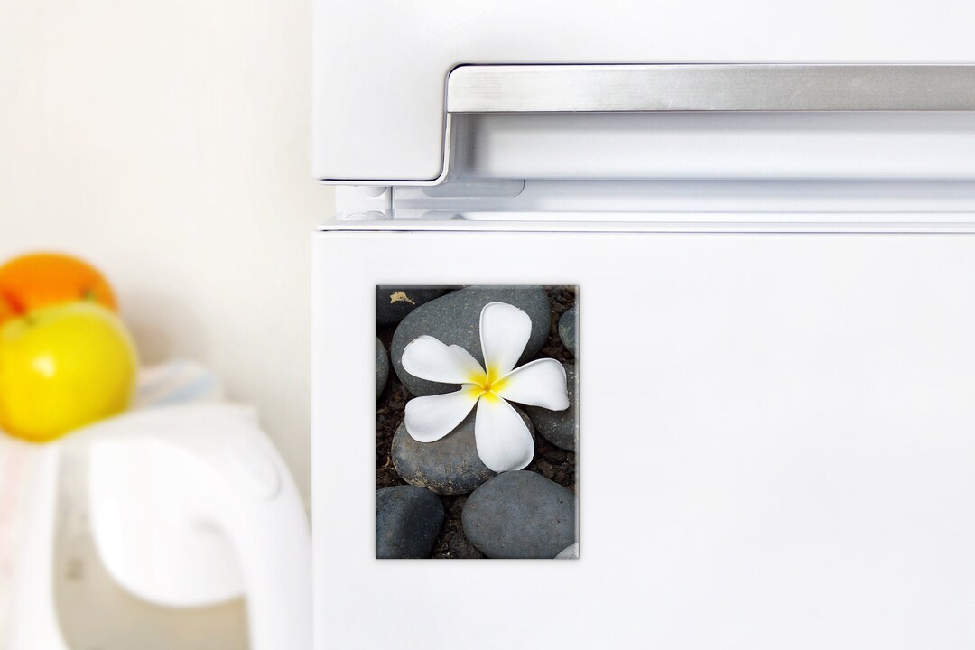 Plumeria Flower Magnet – Tropical Photography Art, Zen Decor - Etsy