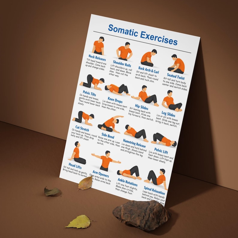 Somatic Exercises Chart, Somatic Exercise Poster, Somatic Exercise ...
