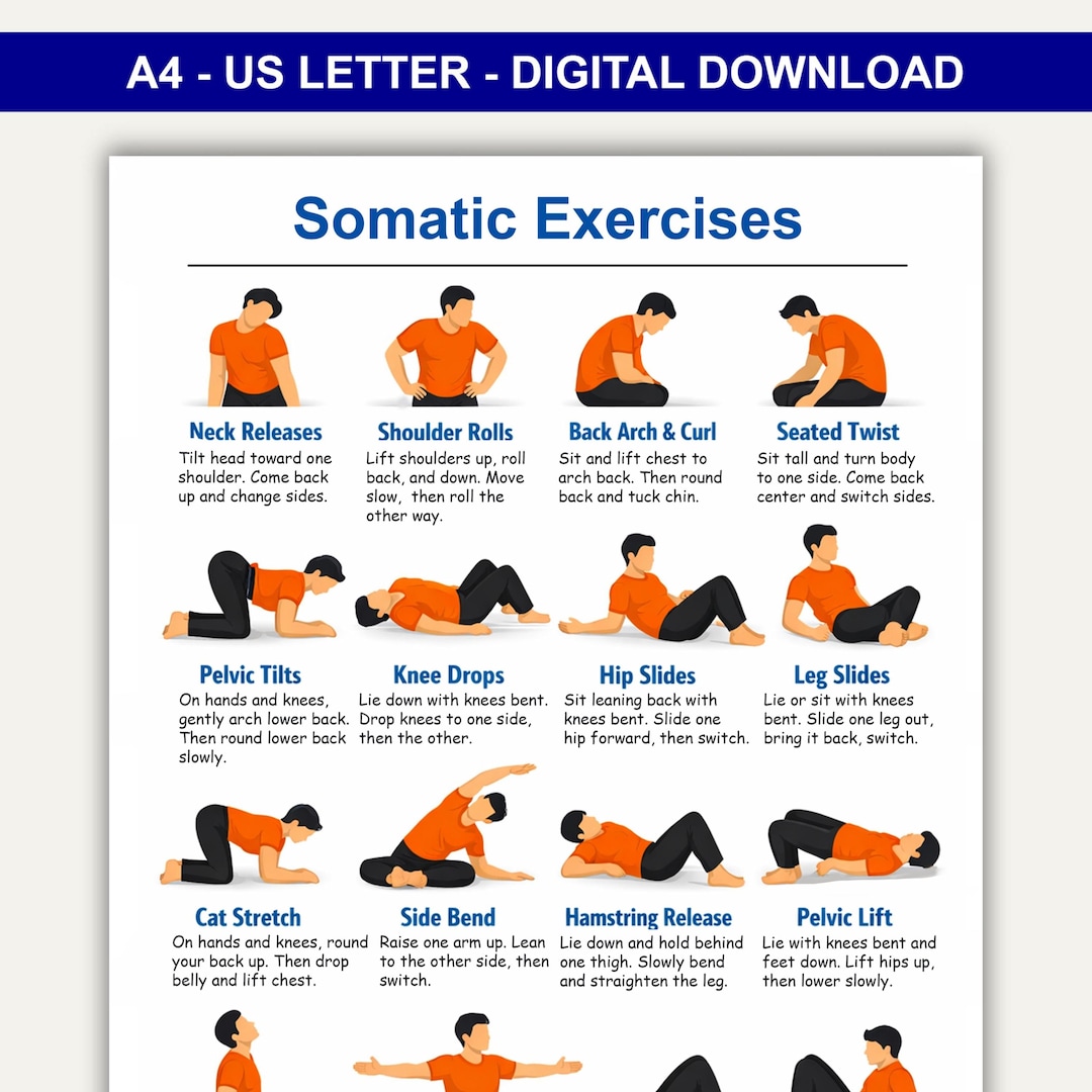 Somatic Exercises Chart, Somatic Exercise Poster, Somatic Exercise ...