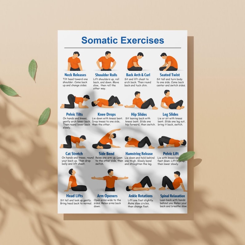 Somatic Exercises Chart, Somatic Exercise Poster, Somatic Exercise ...