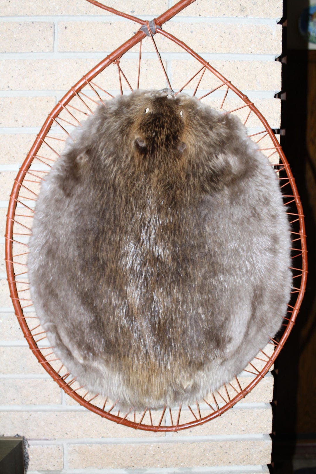 Hand Made Wood Hooped Beaver Hide. Professionally Soft Tanned - Etsy