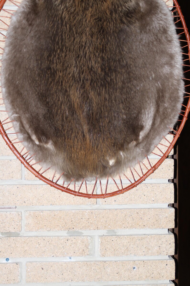 Hand Made Wood Hooped Beaver Hide. Professionally Soft Tanned - Etsy