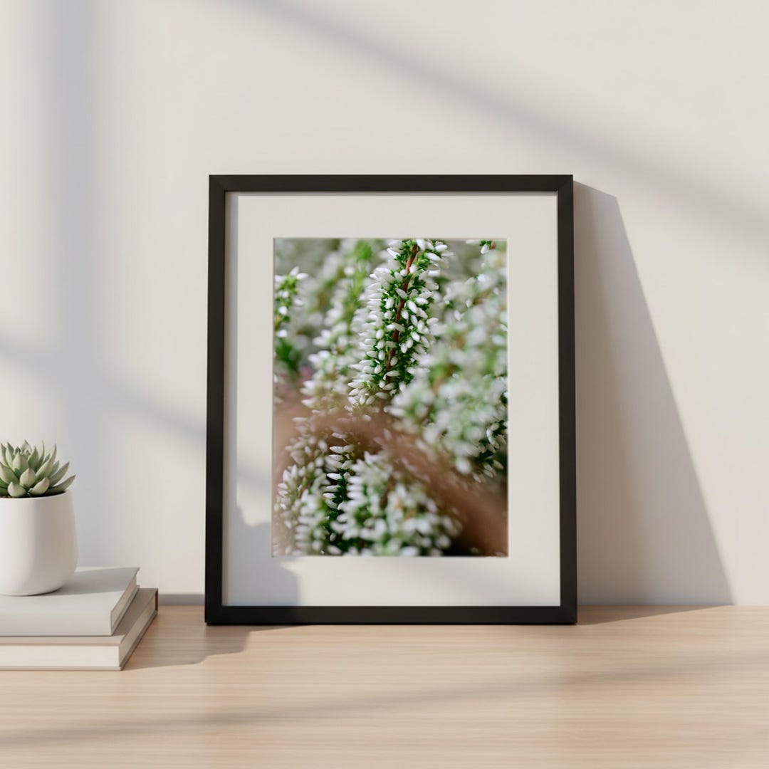 White Heather Macro Photography, Bell Flowers, Enchanted Botanical Wall ...