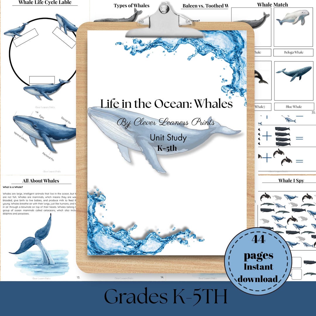 Whale Unit Study: Ocean Animals, Science Worksheets, Life Cycle ...