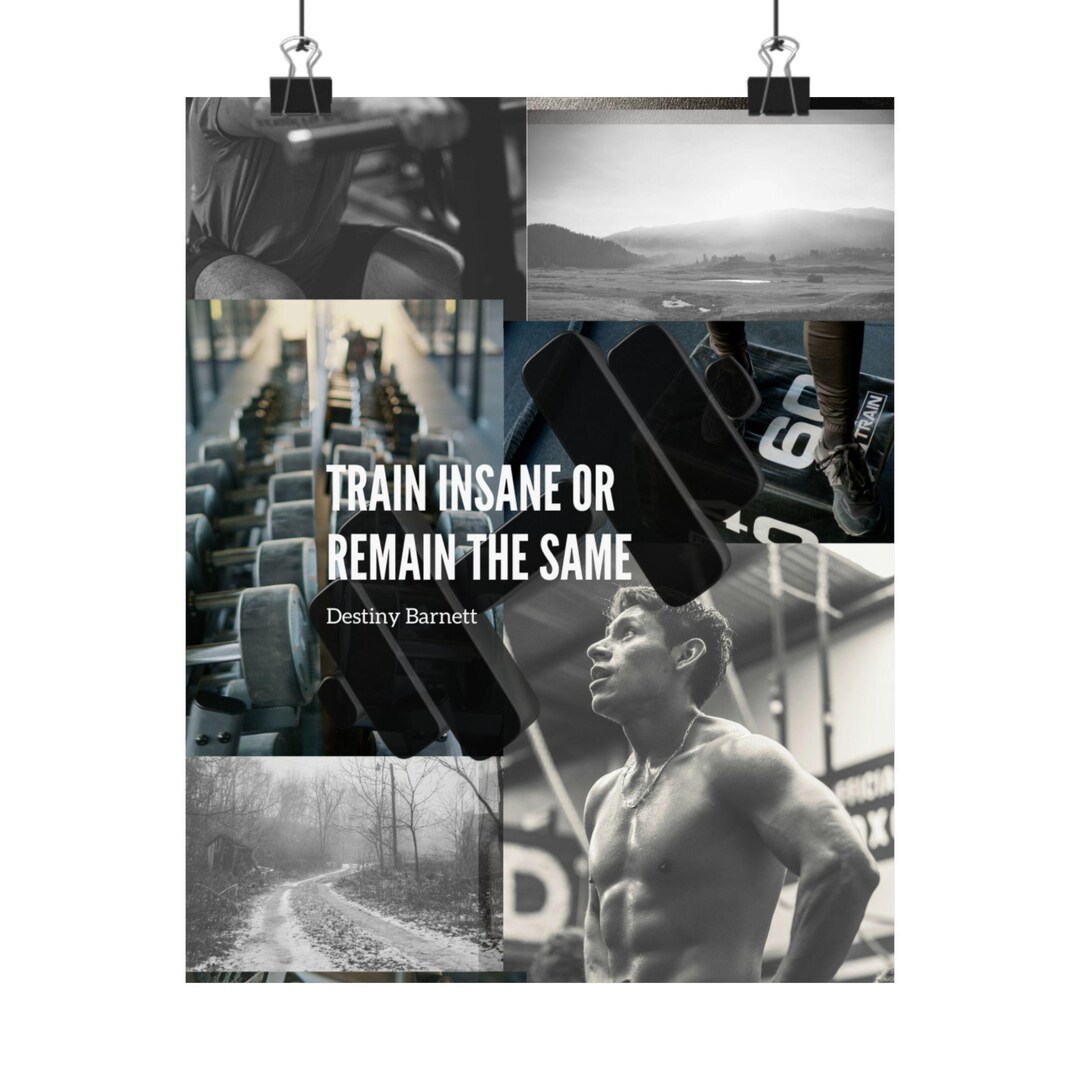 Train Insane or Remain the Same Poster | Matte Vertical Poster - Etsy