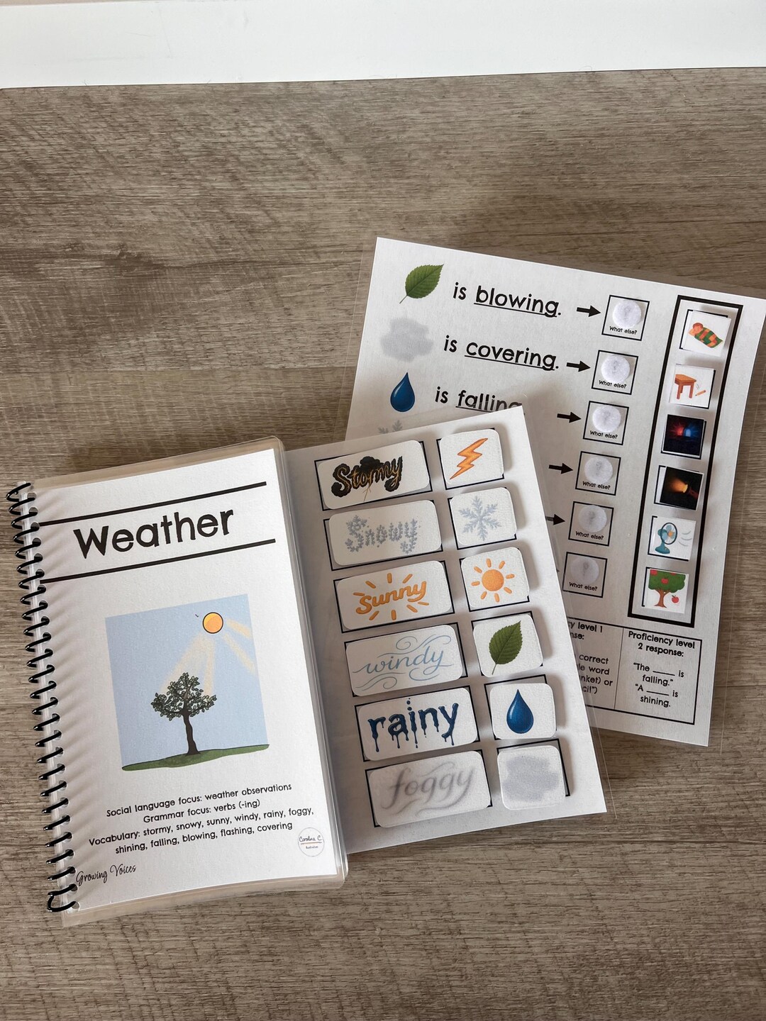 The Weather--adapted Book for EL Newcomers, SPED, Speech and Homeschool ...