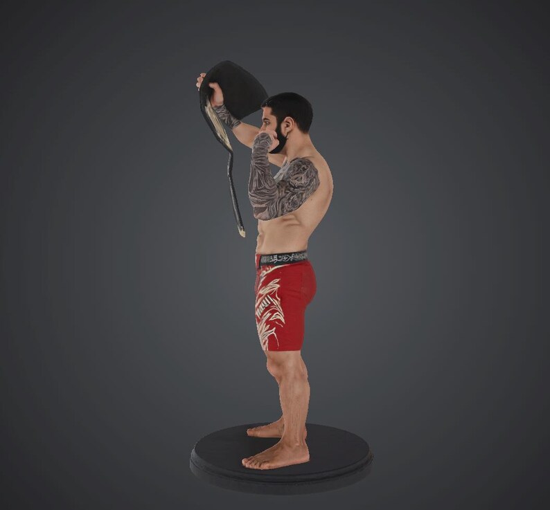 MMA Champion Fighter 3D Print – MMA Warrior Figure STL File - Etsy