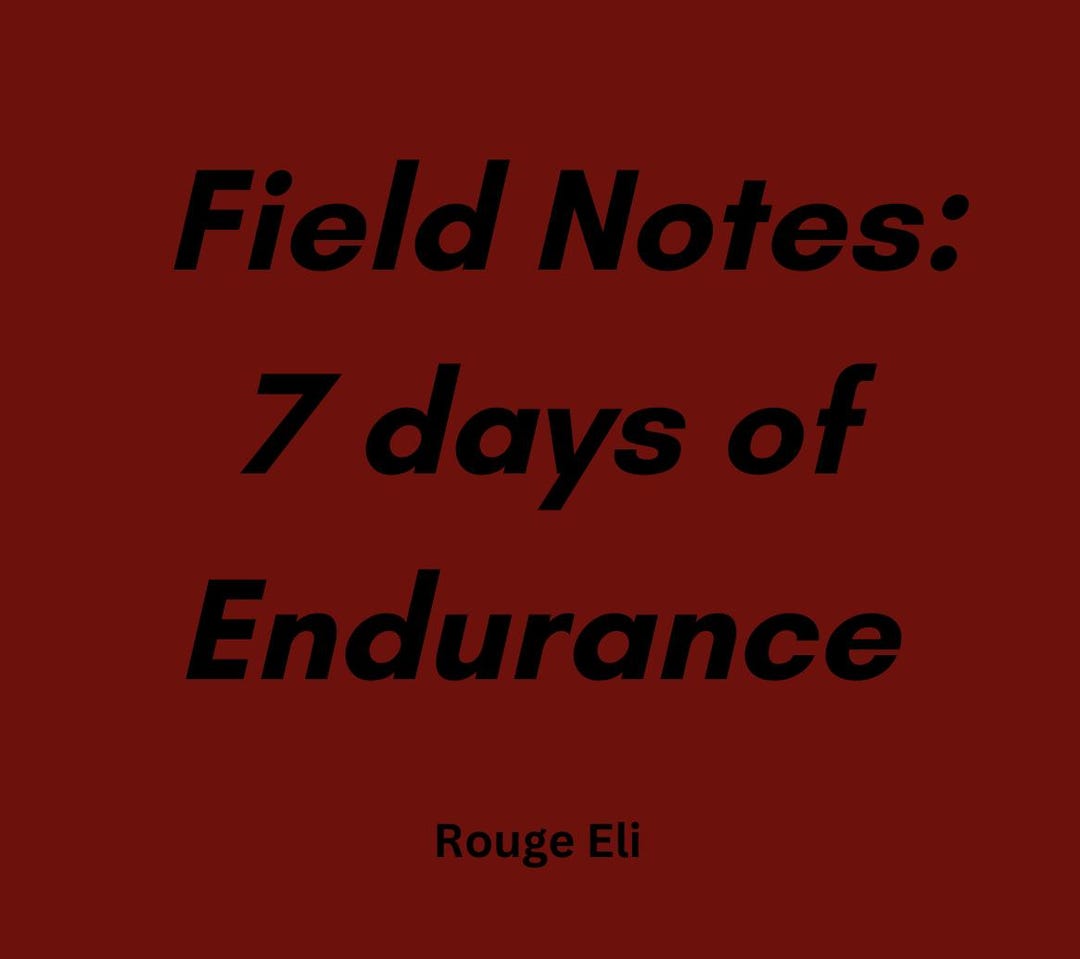 7 Day Reflection Book PDF | Endurance & Mental Strength Essays ...