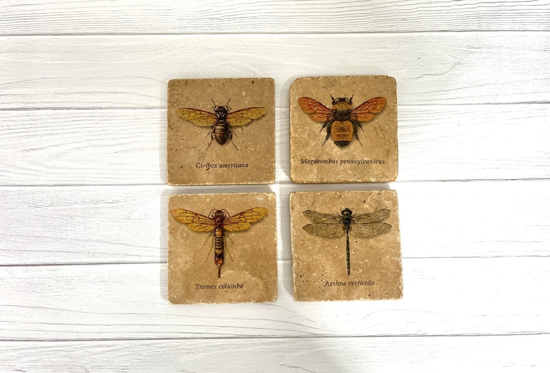 Vintage Insect Tiles Coasters Concrete Rustic Set of 4 Bug - Etsy