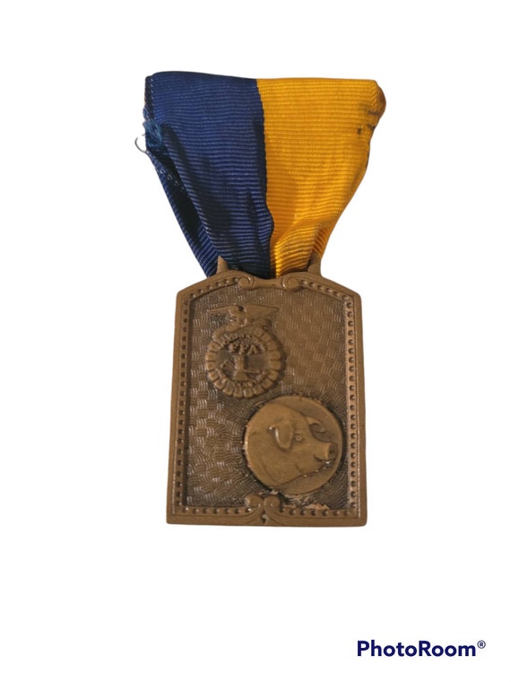 Vintage FFA Vocational Agriculture Medal With Ribbon Pin Pig - Etsy