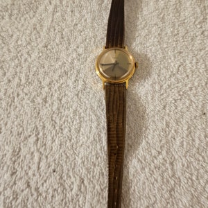 Timex 1969 Retro Watch David Pakter Krauss Color Wheel Mechanical - Etsy