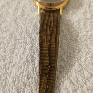 Timex 1969 Retro Watch David Pakter Krauss Color Wheel Mechanical - Etsy