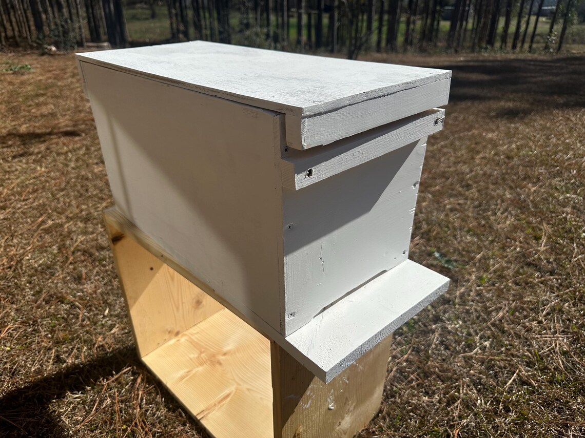 5 Frame Assembled Nuc Box – Wooden Beehive Nucleus Box (no Bees ...