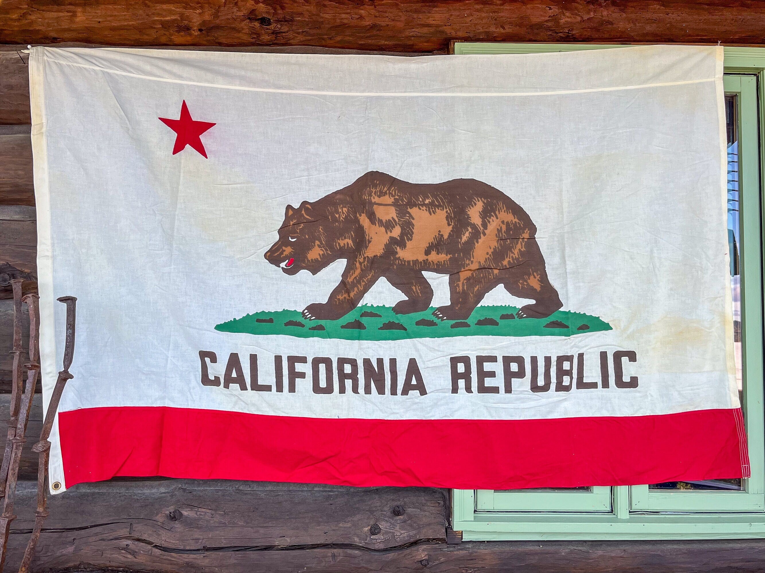 Cali authorized Flag Bear 3 x