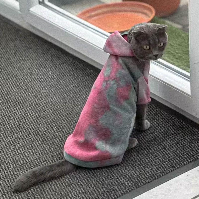Sphynx Winter Clothing - Etsy