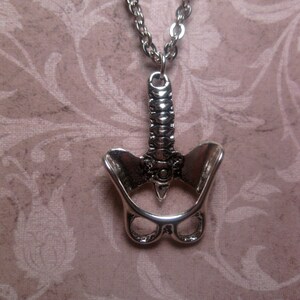Skeleton Necklace Pelvis Silver Bones Human Anatomical Anatomy Spine ...