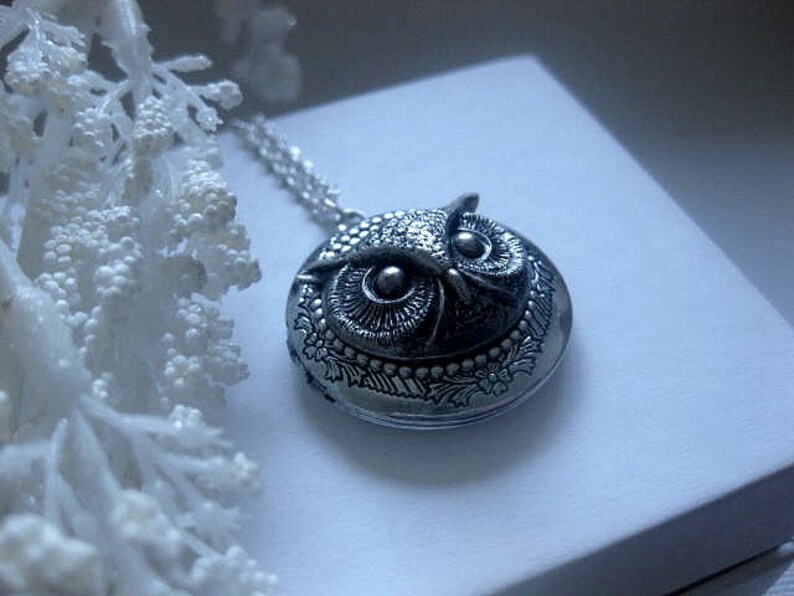 Owl Locket Jewelry Owl Necklace Silver Locket Photo | Etsy