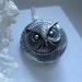 Owl Locket Jewelry Owl Necklace Silver Locket Photo - Etsy
