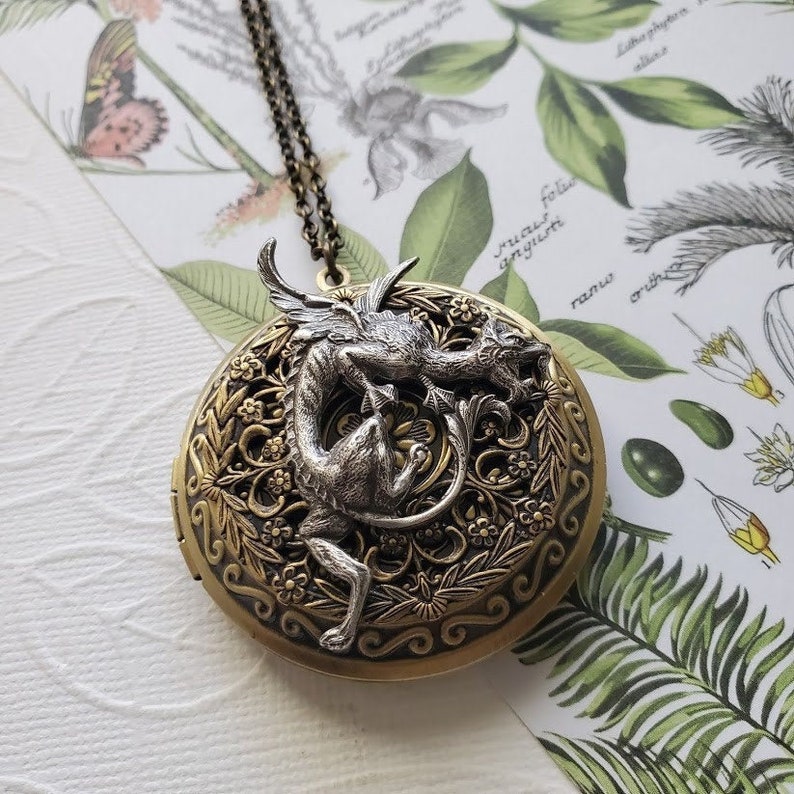 Gargoyle Dragon Pill Box Locket Necklace Trinket Purse - Etsy