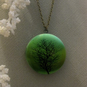 Spooky Tree Locket - Magical - Green - Long Necklace - Keepsake - Etsy