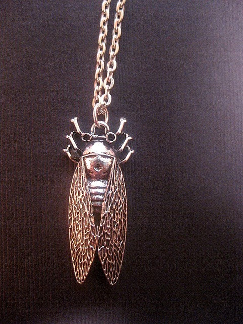 Insect Jewelry Bug Necklace Cicada - Etsy