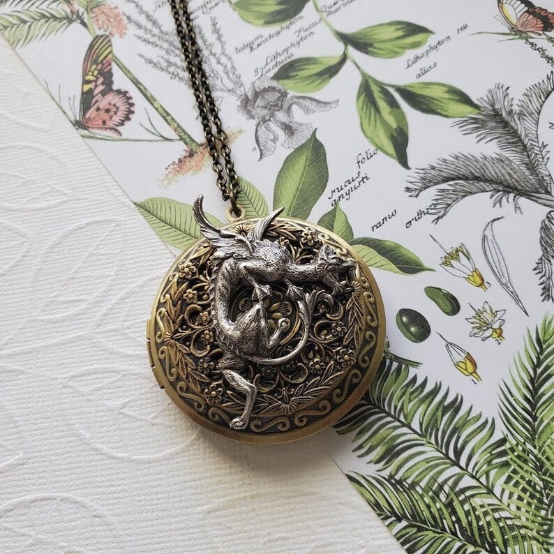 Gargoyle Dragon Pill Box Locket Necklace Trinket Purse - Etsy